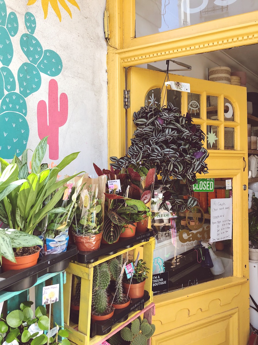 20 Places to Shop Like a Local in Brighton