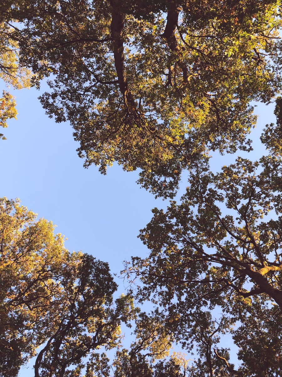 From Brighton to Africa in Under an Hour!