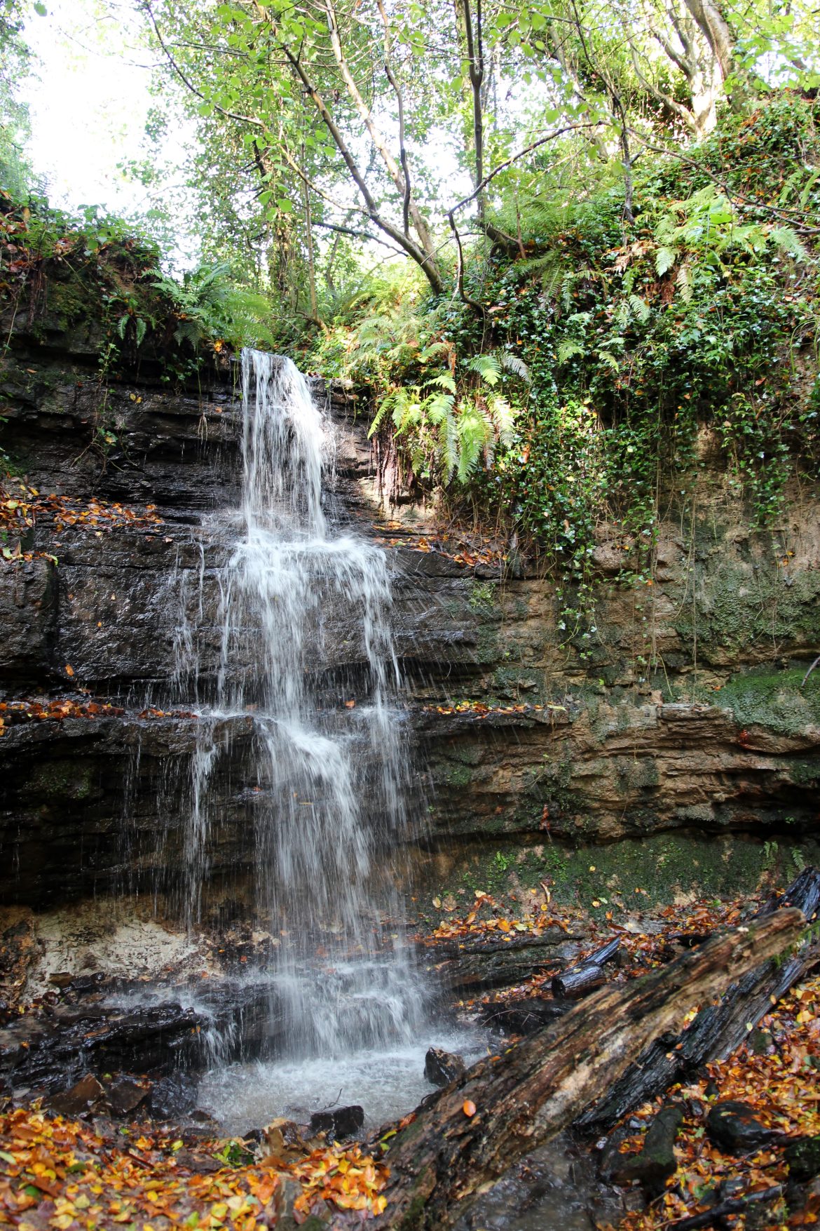21 Secret Places to Discover on a Trip to Sussex - Ellie & Co